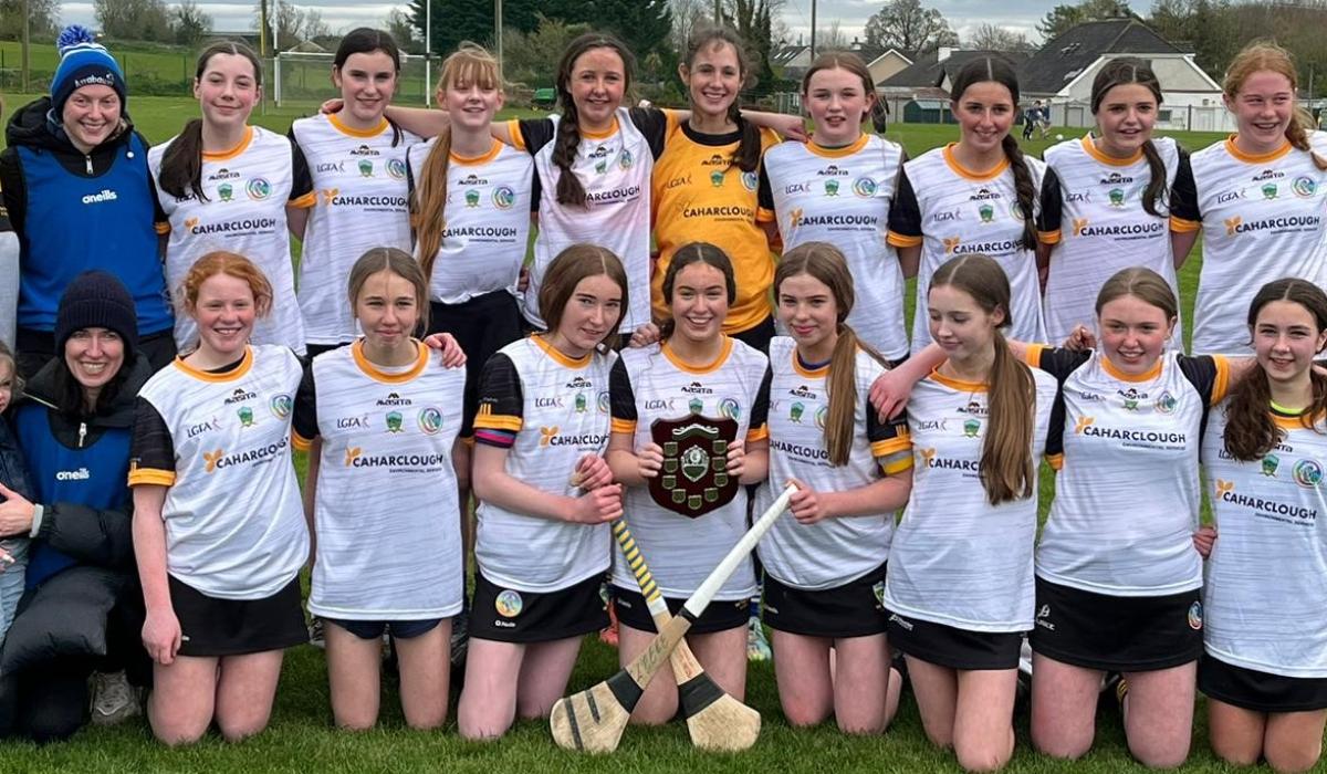 Final whistle greeted with a release of joy as Tipperary camogie club ...