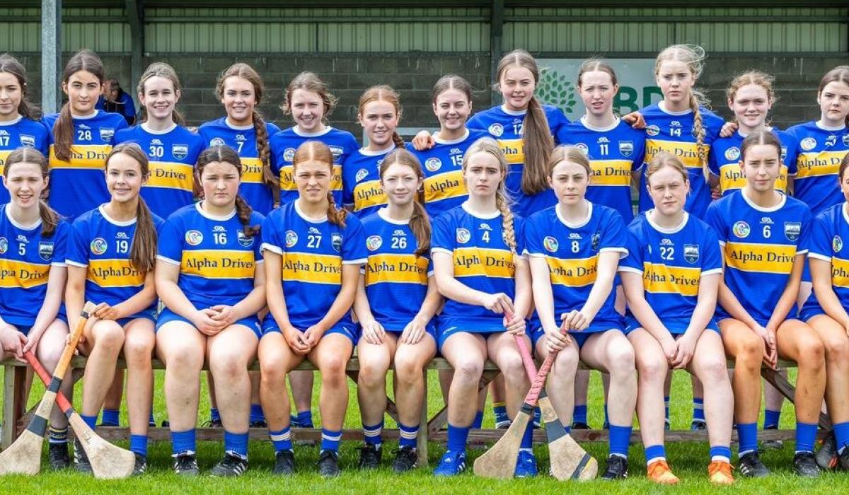 Brilliant start helps young Tipp camogie team to slay Kilkenny Cats ...