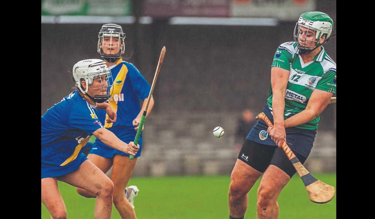 ROUND-UP: Wins for Sarsfields, Annacarty, and Burgess Duharra in ...