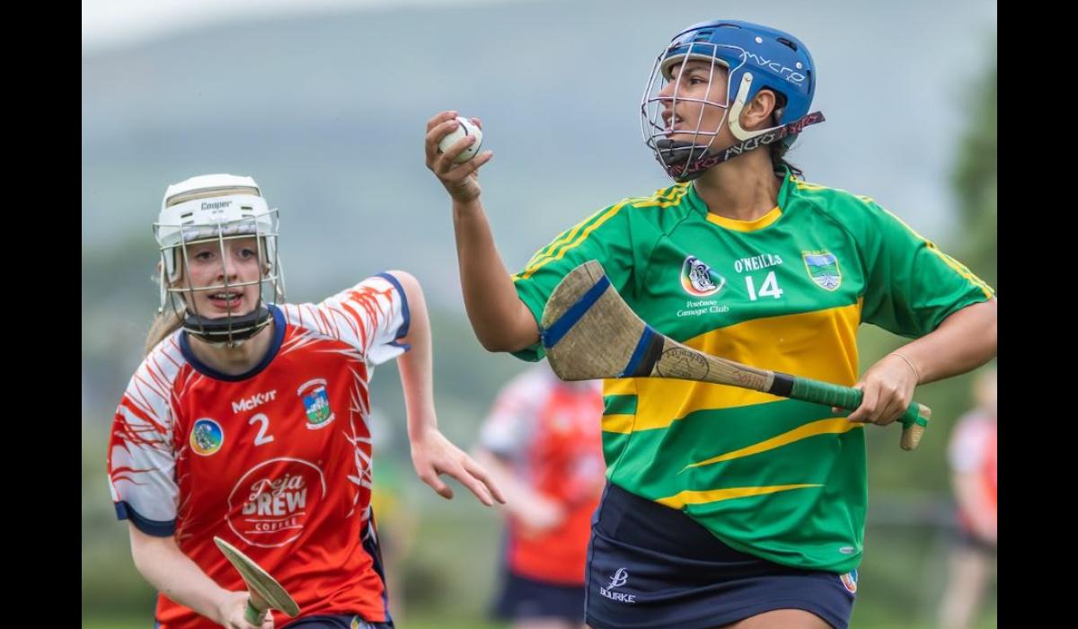 Portroe claim league title with emphatic win over Gortnahoe Glengoole ...
