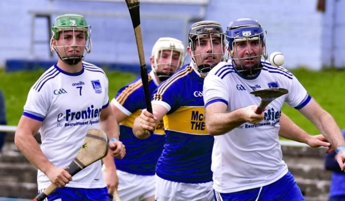 Sarsfields make surprisingly light work of lacklustre Sean Treacys ...