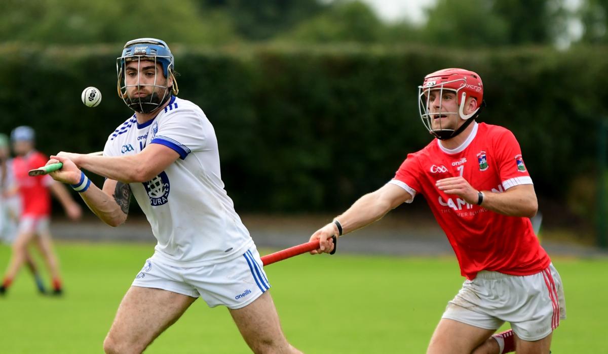 Gortnahoe/Glengoole prevail in south and mid Tipperary hurling ...