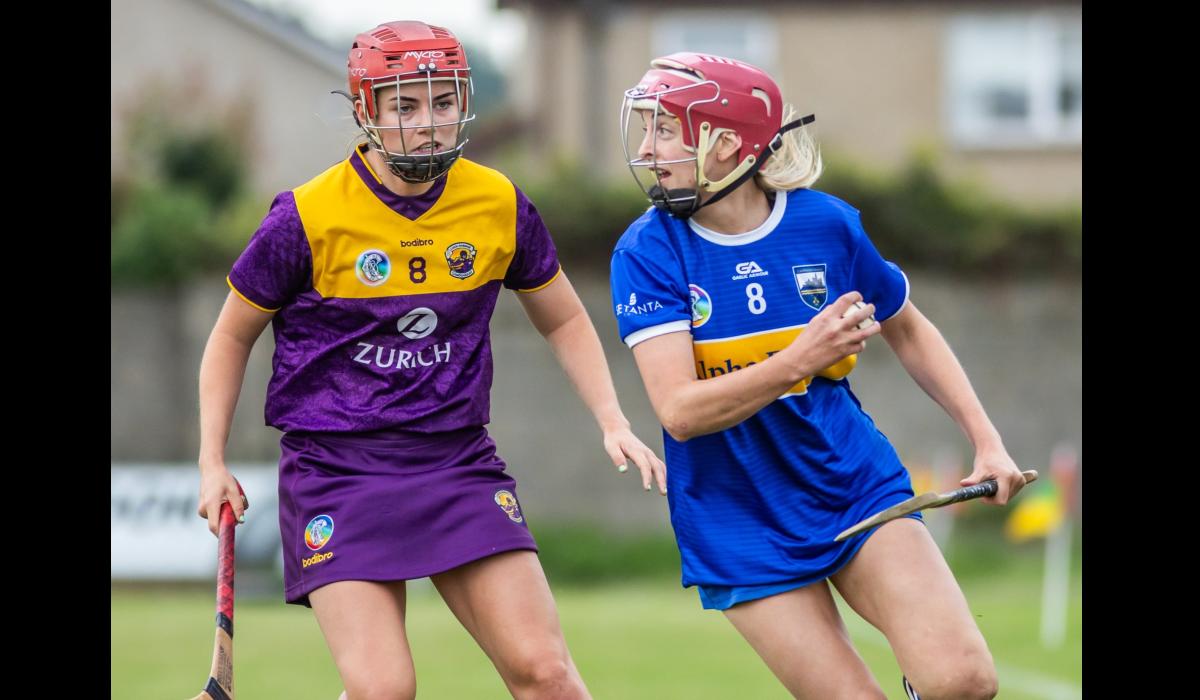 Tipperary continue to impress form with facile win over Wexford in ...