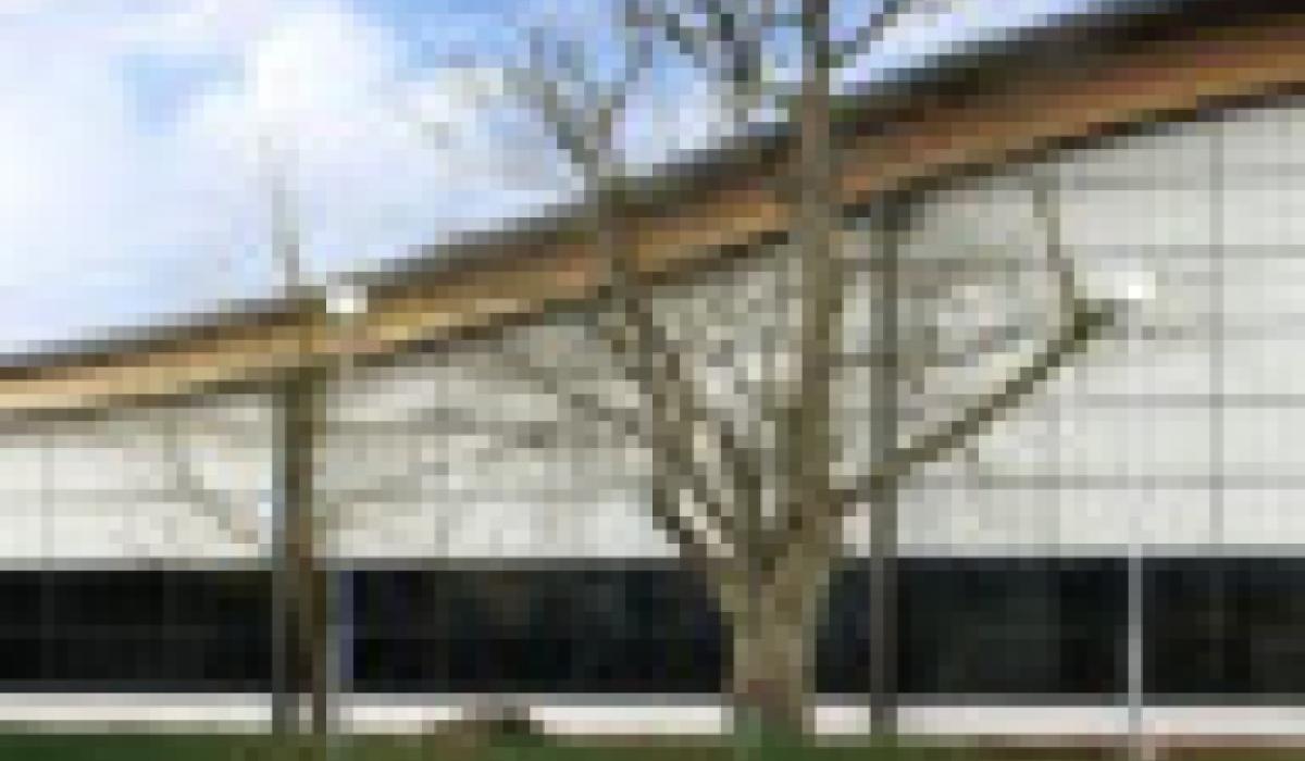 Thurles swimming pool may reopen in December - Tipperary Live