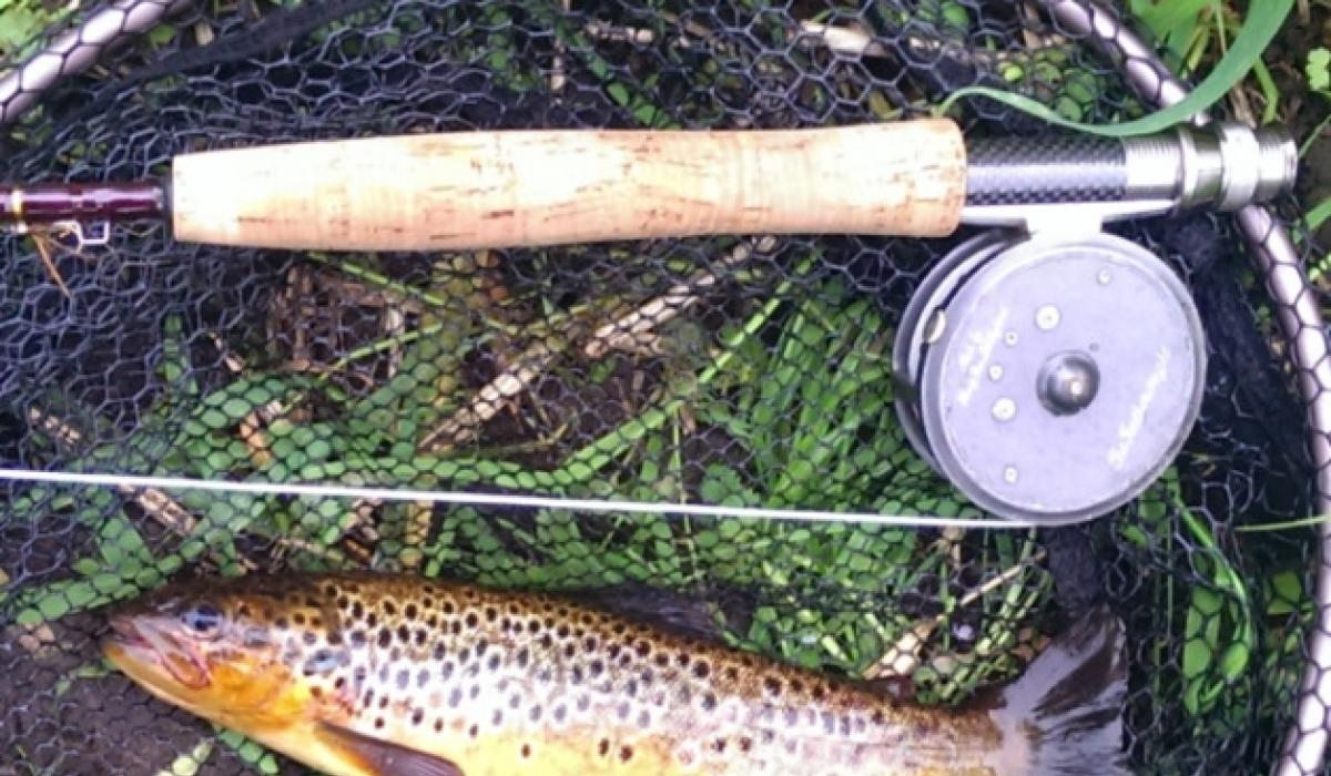 Water keepers appointed to Nenagh River and tributaries - Tipperary Live