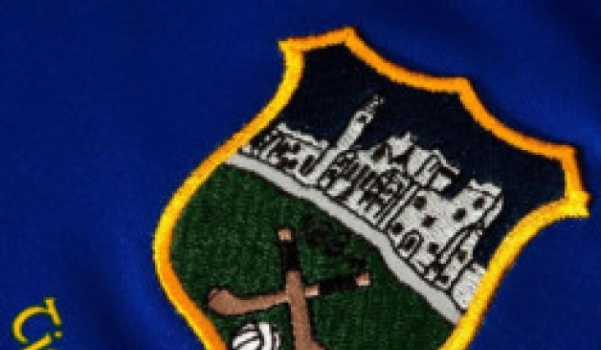 Purchase your Tipperary GAA club season pass for €170 ahead of 2025 ...