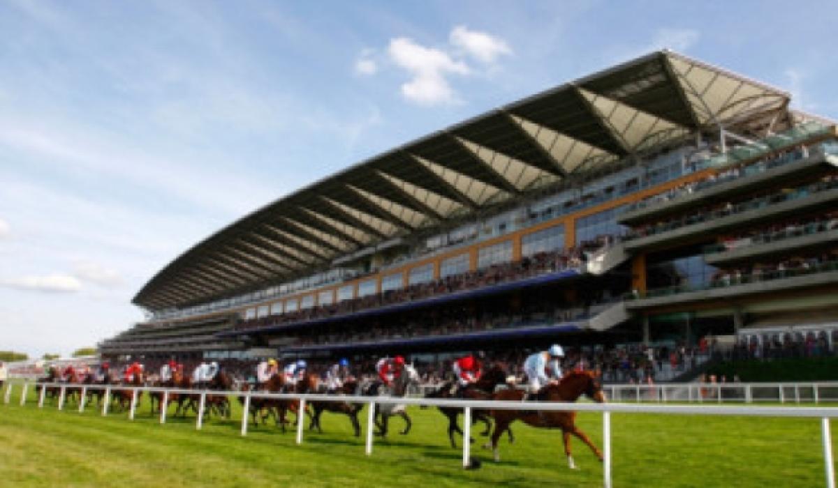 Horse Racing News - Tipperary Live