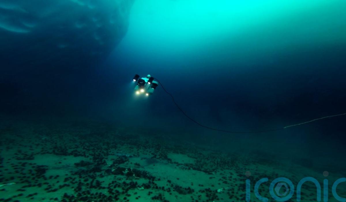 Scientists make new discovery in Antarctica - Tipperary Live