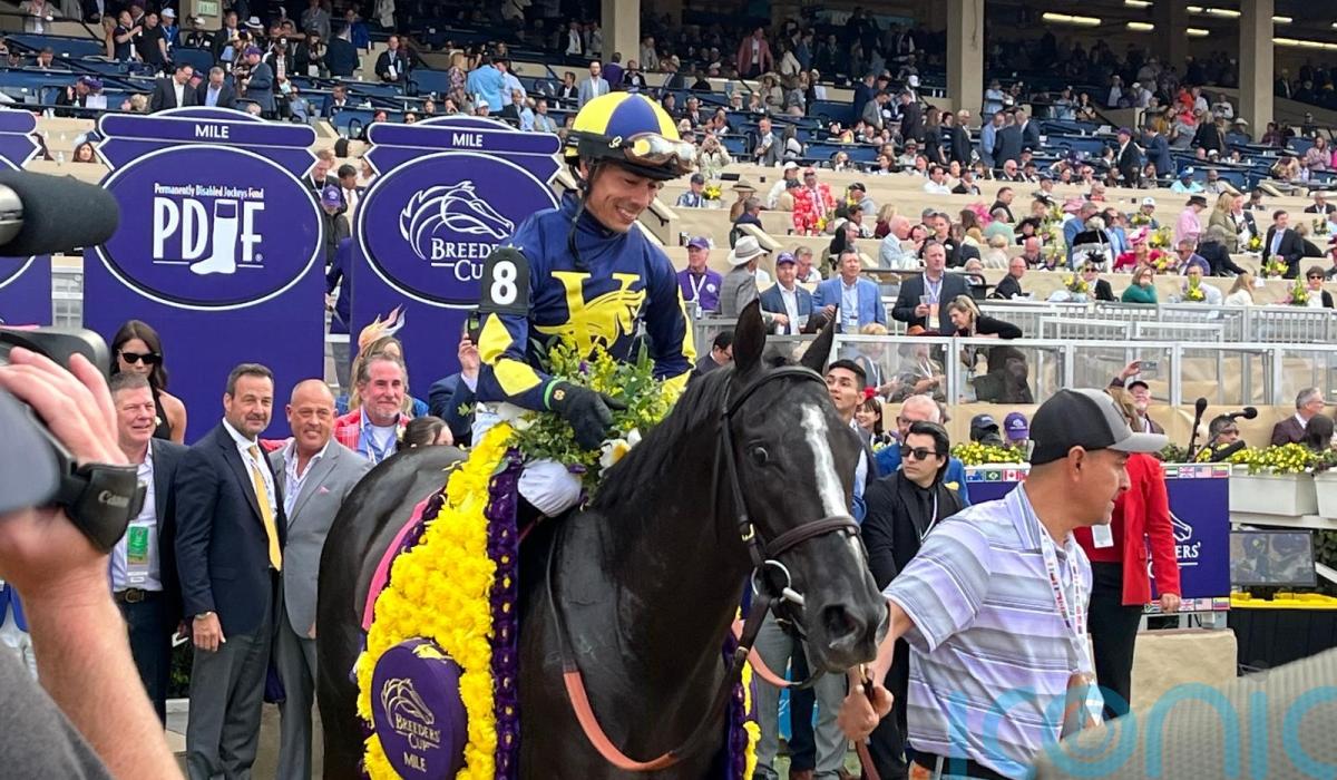 More Than Looks halts Appleby run with Mile success - Tipperary Live