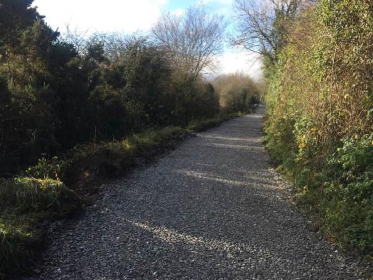 New walking loop from the Horse & Jockey to Derrynaflan Island ...