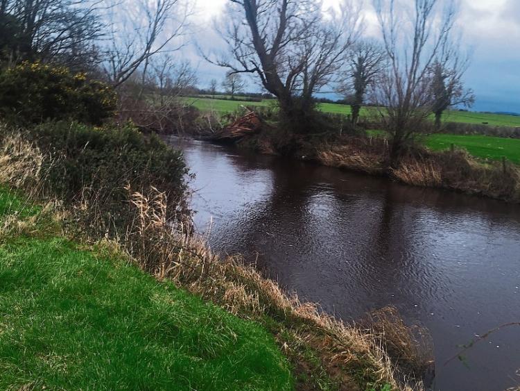Tipperary anglers to help with Clashawley River Bank clean-up on Sunday ...