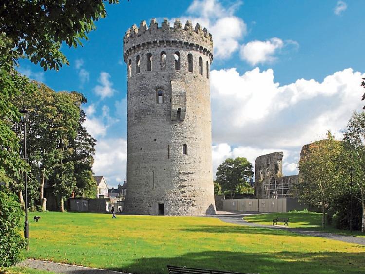 Nenagh is looking forward to a cracking 2020 - Tipperary Live