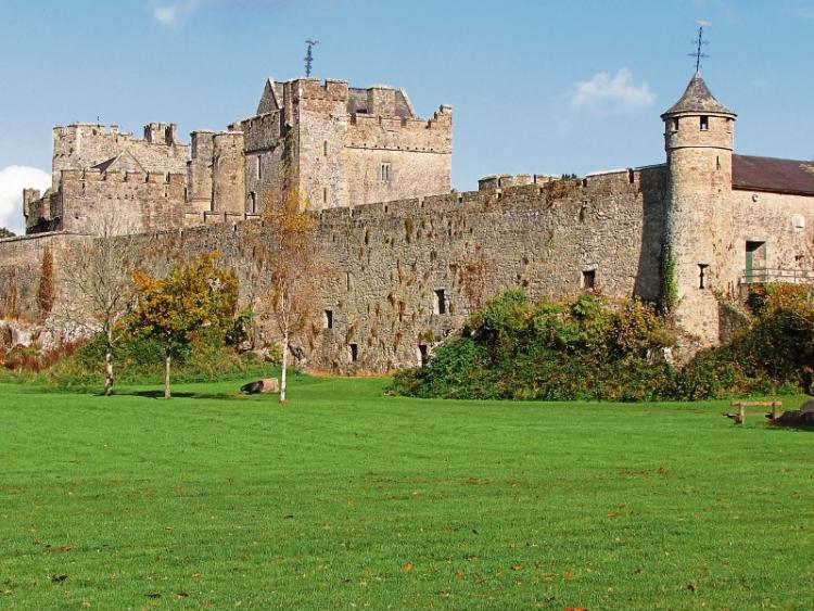 Cahir Tidy Towns stood down for Covid-19 level 5 - Tipperary Live