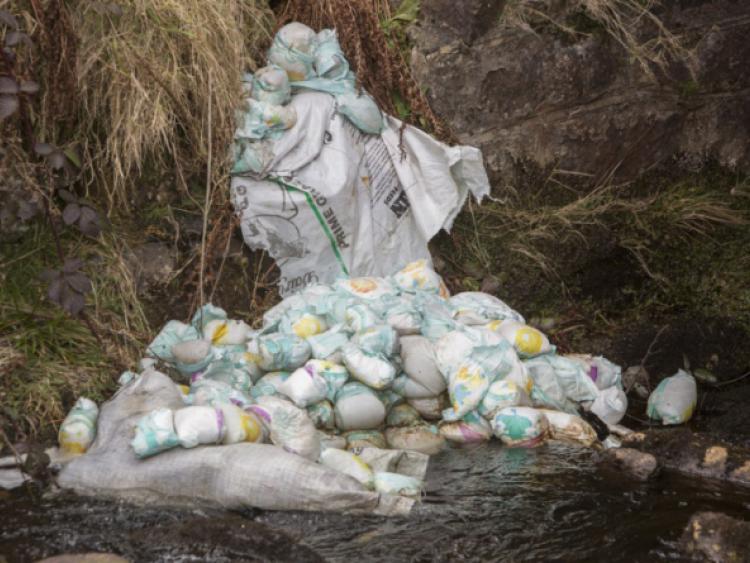 Nappy dumping spoiling scenic Comeragh Mountains walk - Tipperary Live