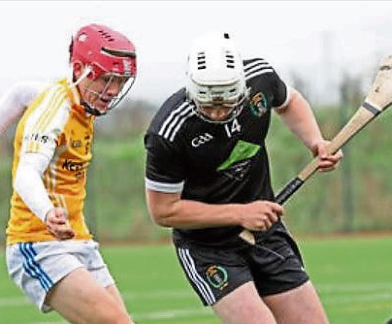 HARTY CUP PREVIEW: Nenagh CBS looking to continue recent hurling ...