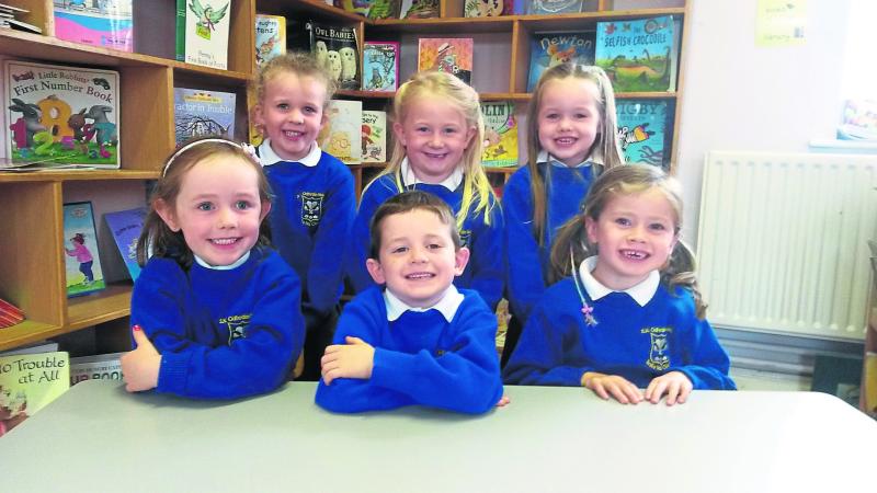 Don't miss this week's edition of the Tipperary Star - Tipperary Live