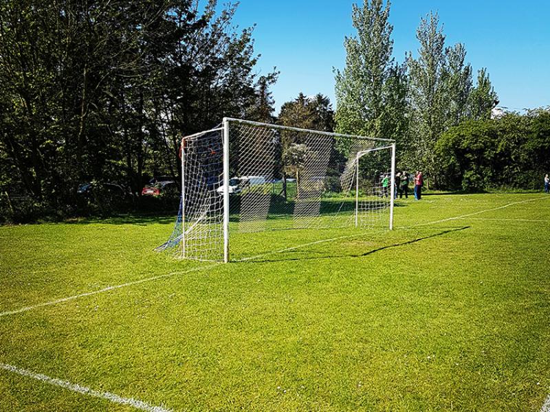 Nenagh AFC miss out on Limerick league title by a single point ...