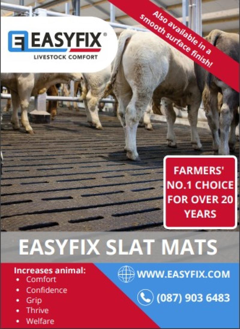 Easyfix leading the way in livestock comfort market - Tipperary Live