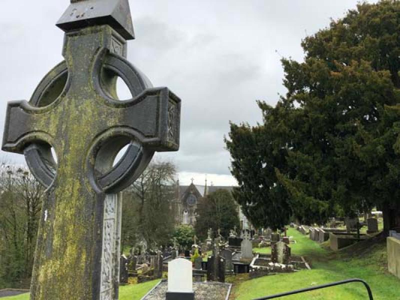 Knock and Roscrea mourn passing of 'local legend' - Tipperary Live