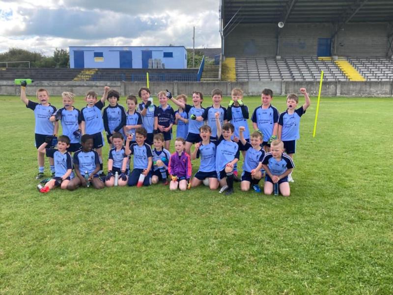 Nenagh Éire Óg U15 football squad captures Plate final against ...