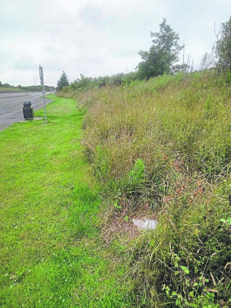 Life in the fast lane, with Albert Nolan - Tipperary Live