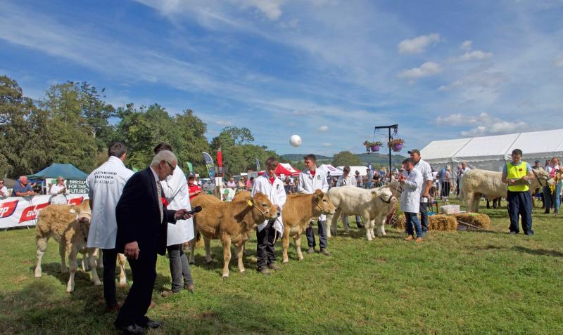 Record crowd enjoyed Iverk Agricultural Show's triumphant return ...