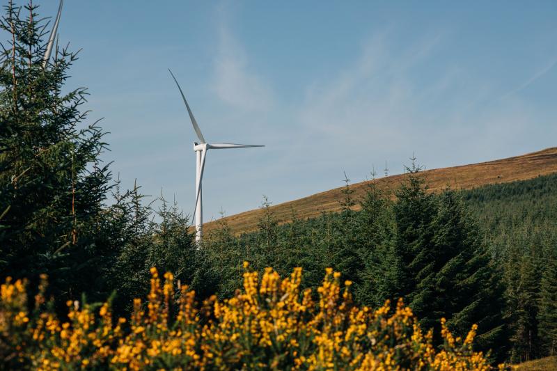 We’ve got the power to help stop climate change - Tipperary Live