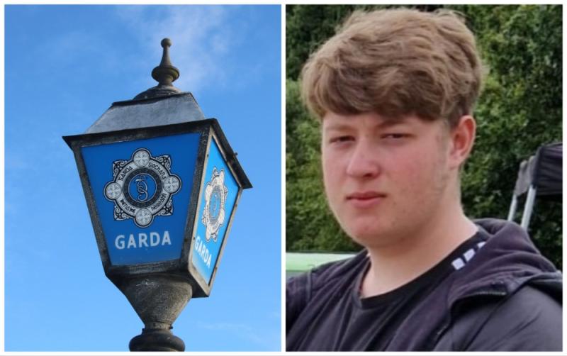 Gardaí issue appeal to find missing teenager not seen by family since last week - Tipperary Live