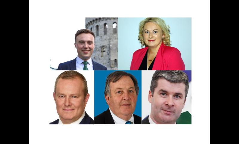 Three councillors re-elected to council in Nenagh with two fresh faces joining the ranks ...