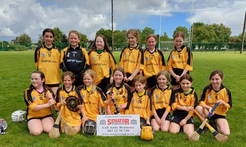 High standard of camogie from Under 12 players in Tipperary - Tipperary ...