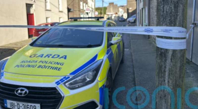 Eight-year-old girl dies following an assault - Tipperary Live