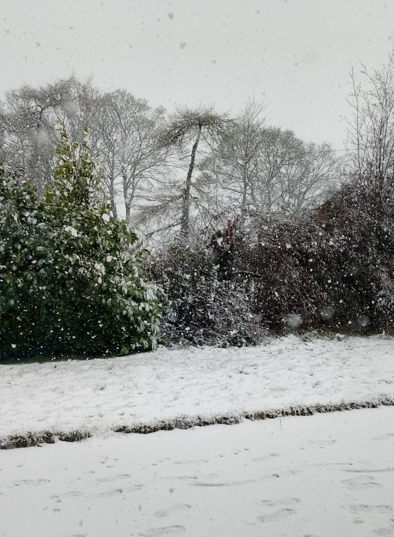 LATEST: Tipperary gardaí remind people what Dermot Kennedy said as ...