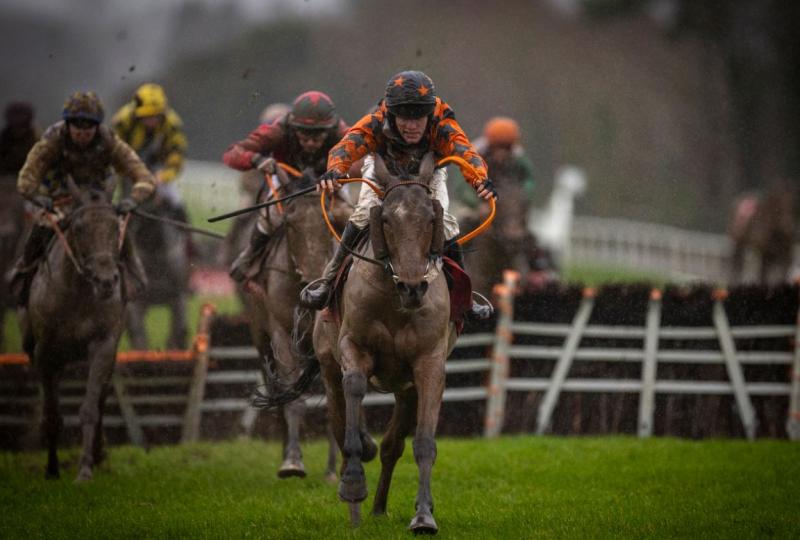 Falcon Park a famous winner for conditional jockey Niall Prendergast ...