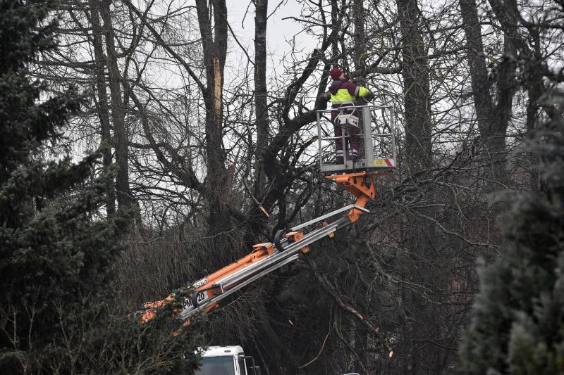UPDATE: Storm Éowyn causes loss of power to over 2,700 customers in one ...