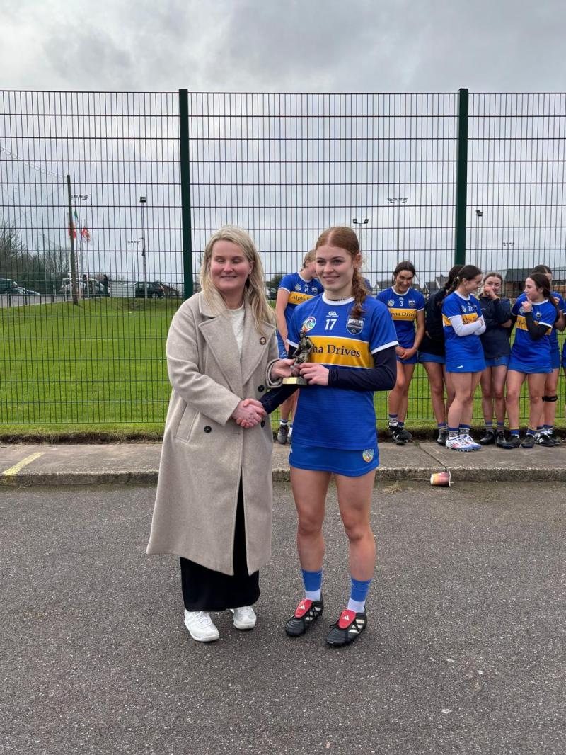 REPORTS: Tipperary teams perform but have a mixed bag in terms of ...