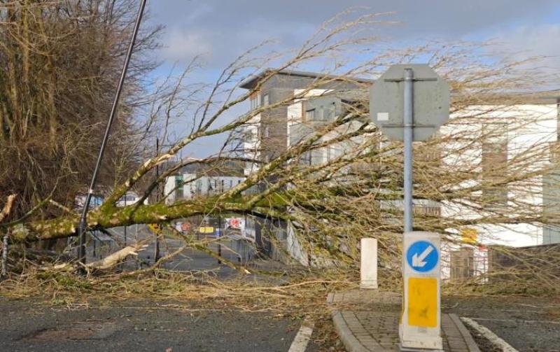 Safeguarding action yet to be taken after Storm Éowyn destroyed lives ...