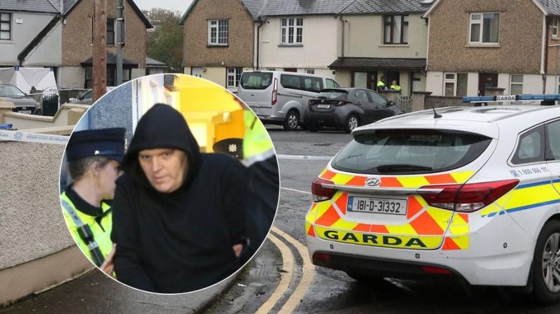 'I hit him with a shovel and I hope the c*** is dead'- Limerick killer ...