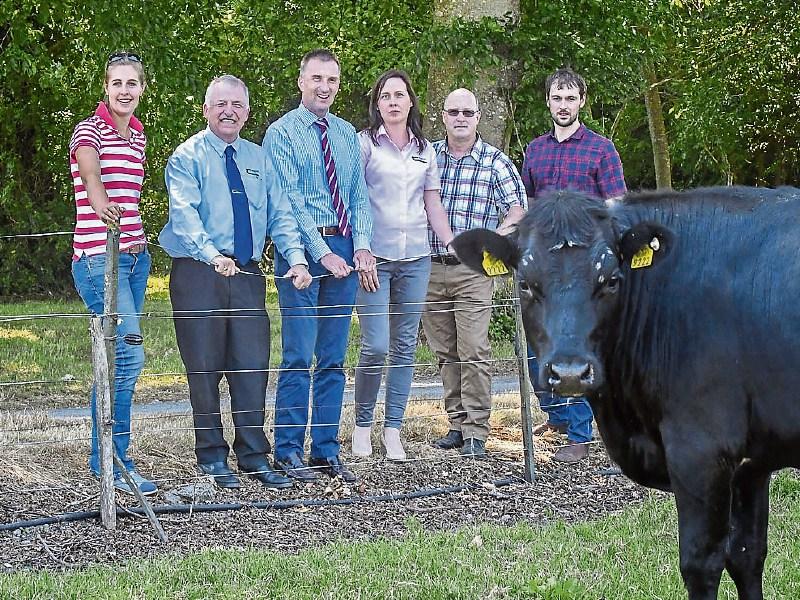 Teagasc announces 10 Dairy Start-Up Courses - Tipperary Live