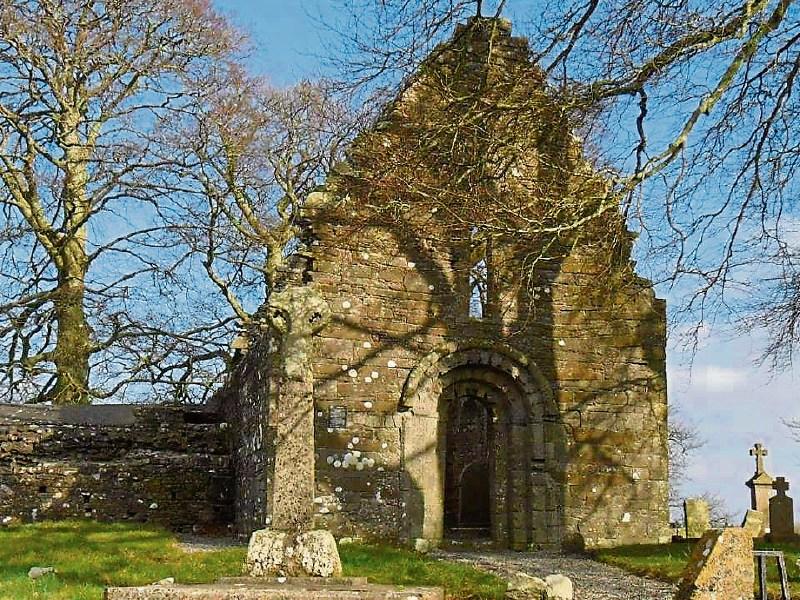 Roscrea Trail Blazers enjoyed a very well attended walk around The ...