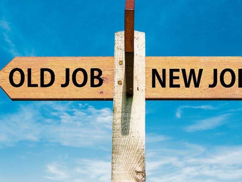 Tipperary jobs round-up - who's hiring in County Tipperary this week ...
