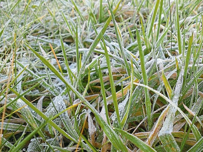 Tipperary farming: Teagasc launches major grass weed control initiative ...