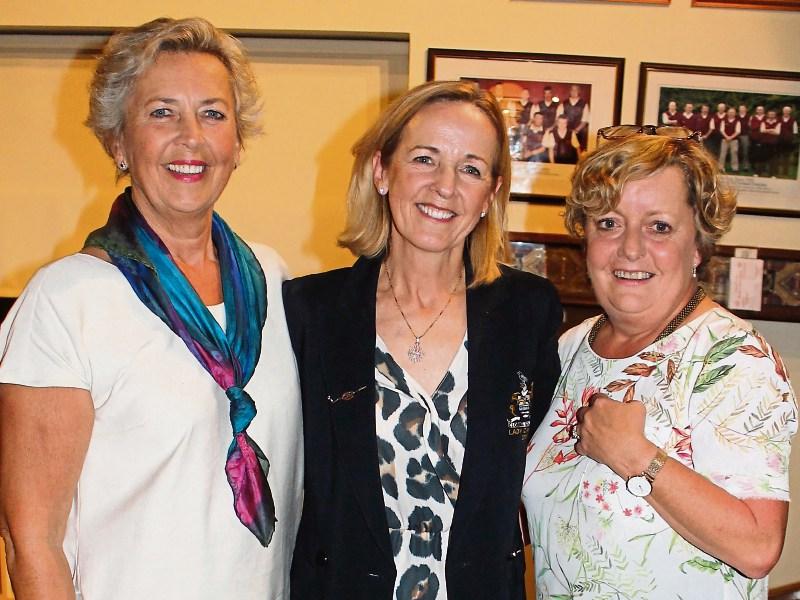 Clonmel Golf Ladies celebrate great year with new members and a new ...