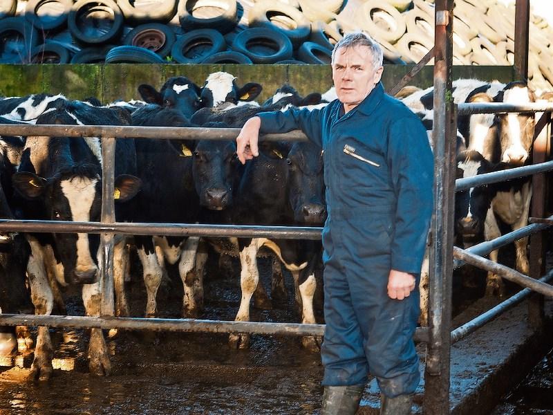 Tipperary farming: early indicators point to positive milk outlook ...