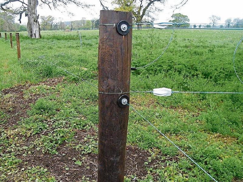 Tipperary farmers get advice on the importance of good fencing around ...