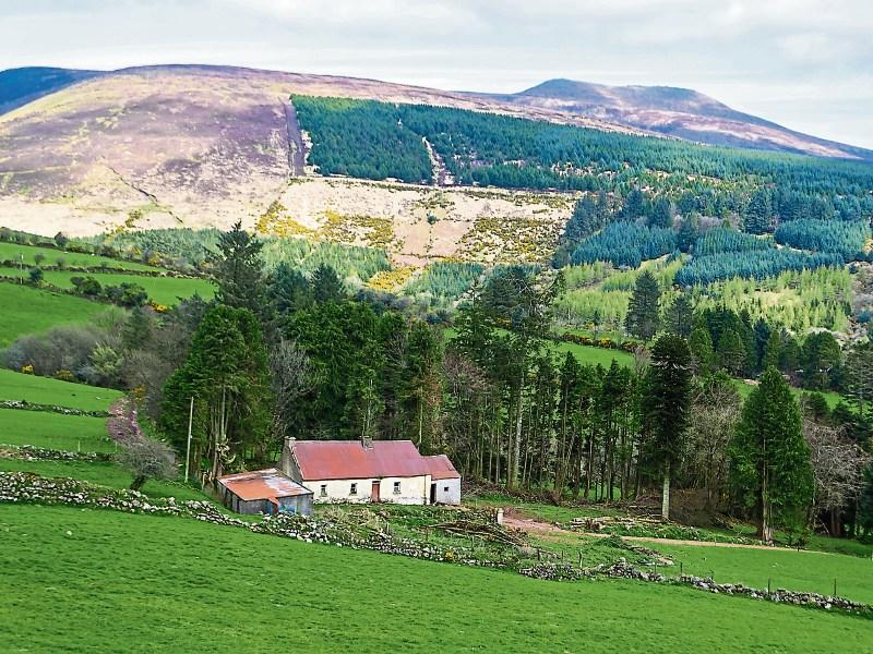 Farming in Tipperary through the pandemic - Teagasc advices - Tipperary ...