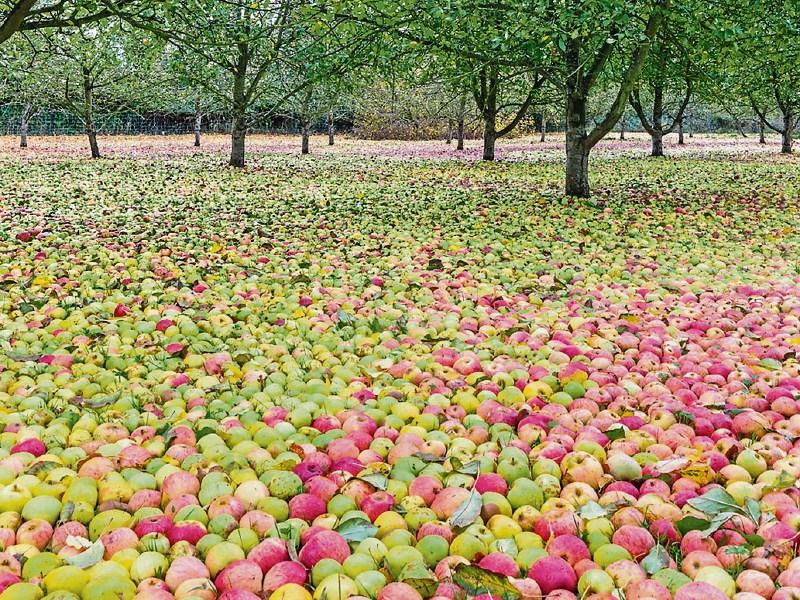 Much anticipated Camera Club exhibition gets underway in Clonmel ...