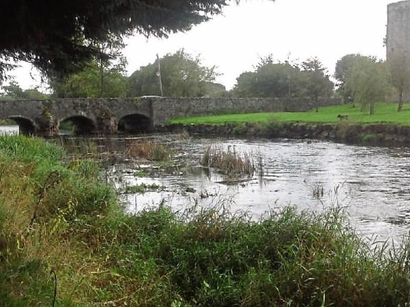 BIG READ: 'Stone fell off bridge in Tipperary village and couldn't be ...