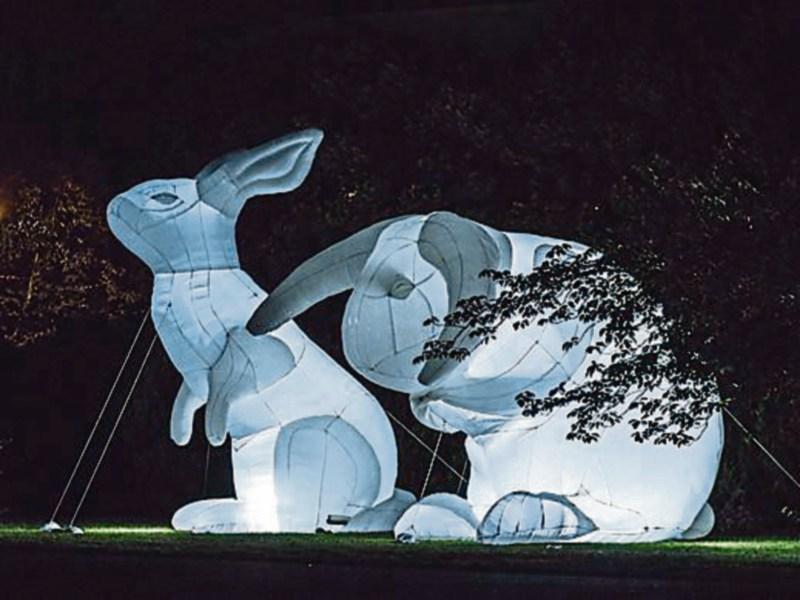 Junction Festival's giant rabbits restore life and colour to former ...
