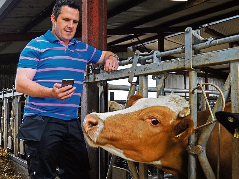 Tipperary farmer Brian Reidy keeps on top of paperwork with Herdwatch ...