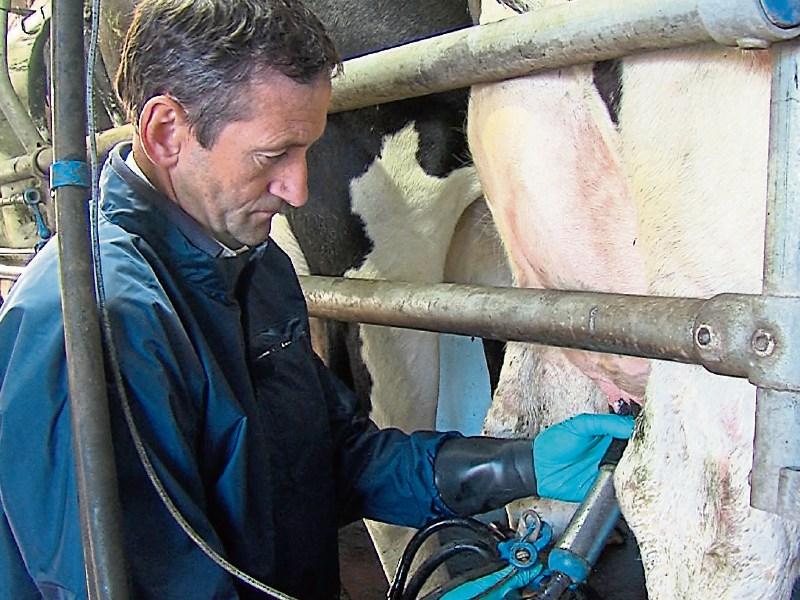 Tipperary farming: the cream rises to the top on milking course ...